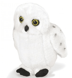 Amazing Savings at RSPB Gift Shop | udopt.co.uk